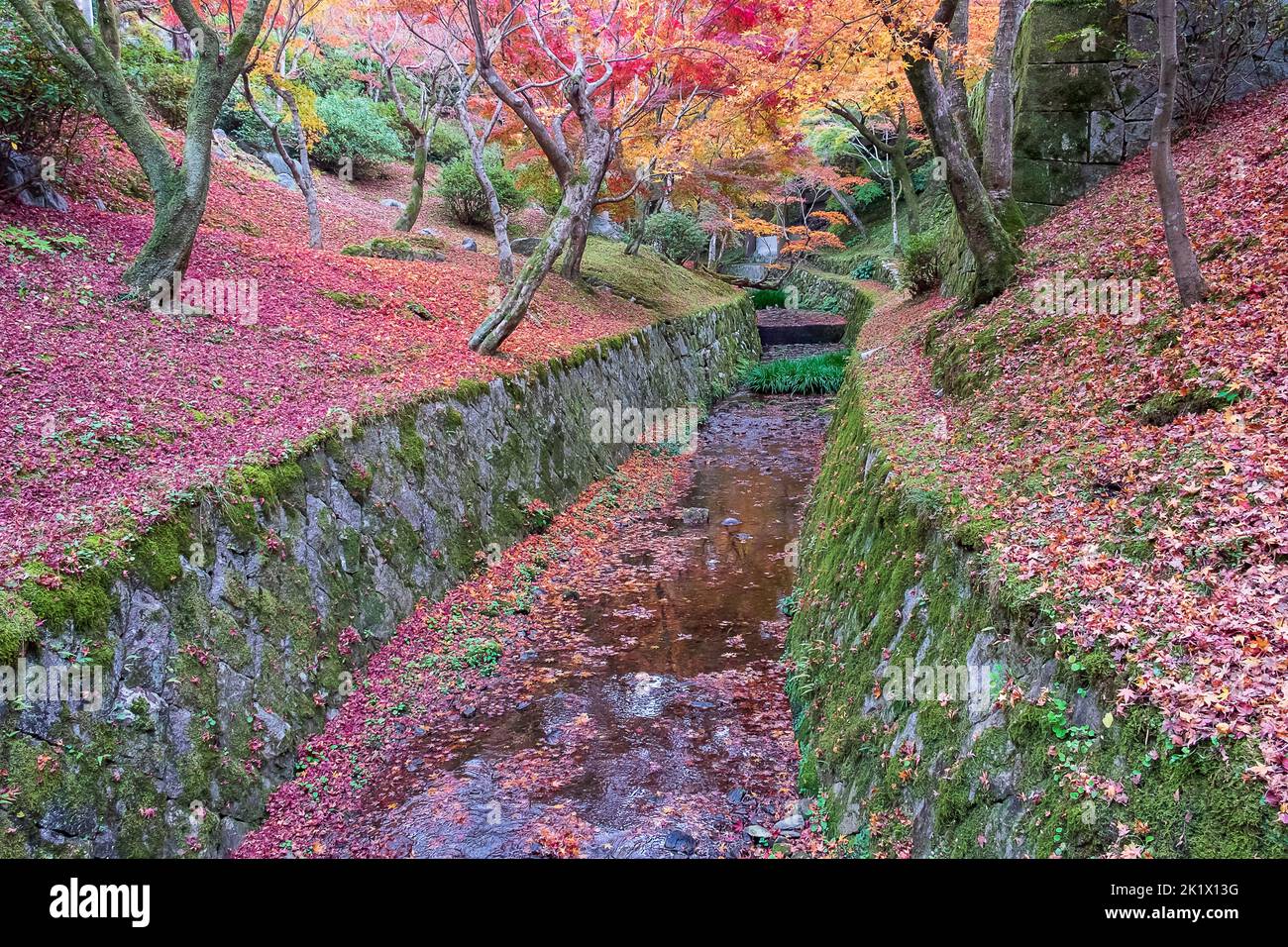 colorful leaves in the garden at Tofukuji temple, landmark and famous ...