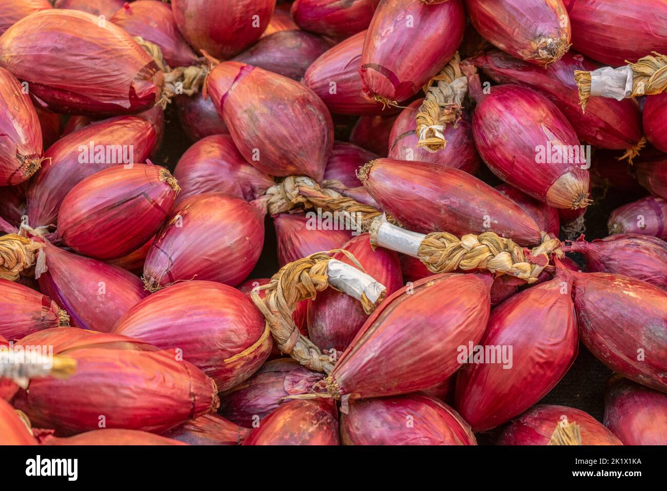 Red onion full frame hi-res stock photography and images - Alamy