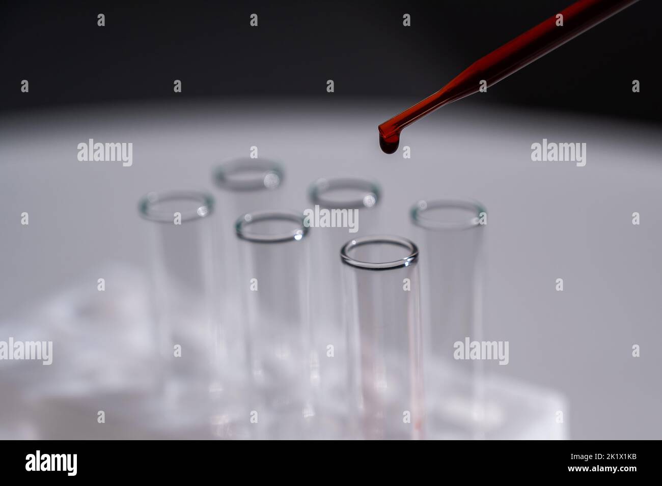 Close-up of a laboratory assistant dripping blood from a pipette into a ...