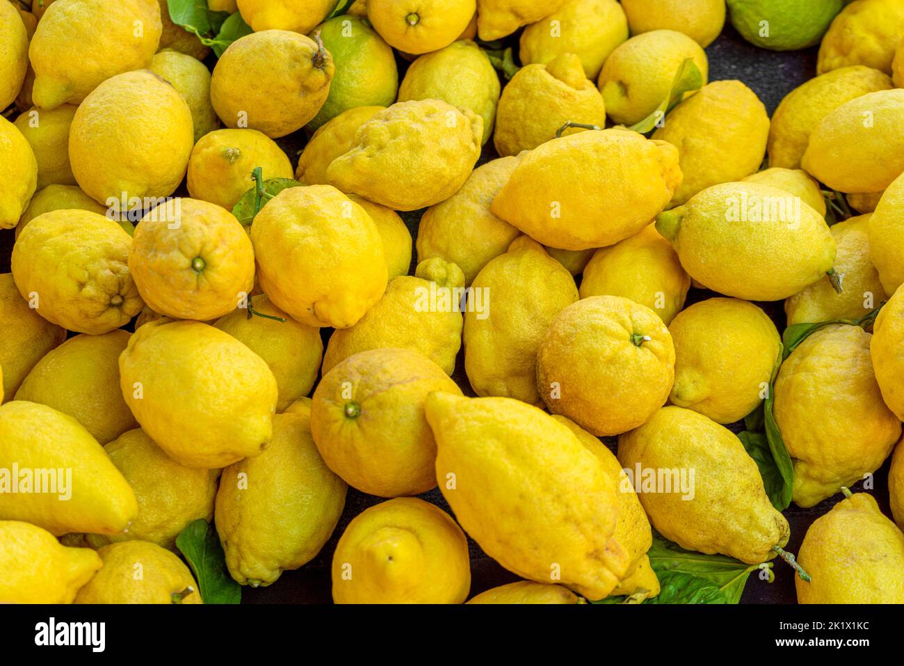 Full frame shots showing lots of ripe organic yellow lemons Stock Photo ...