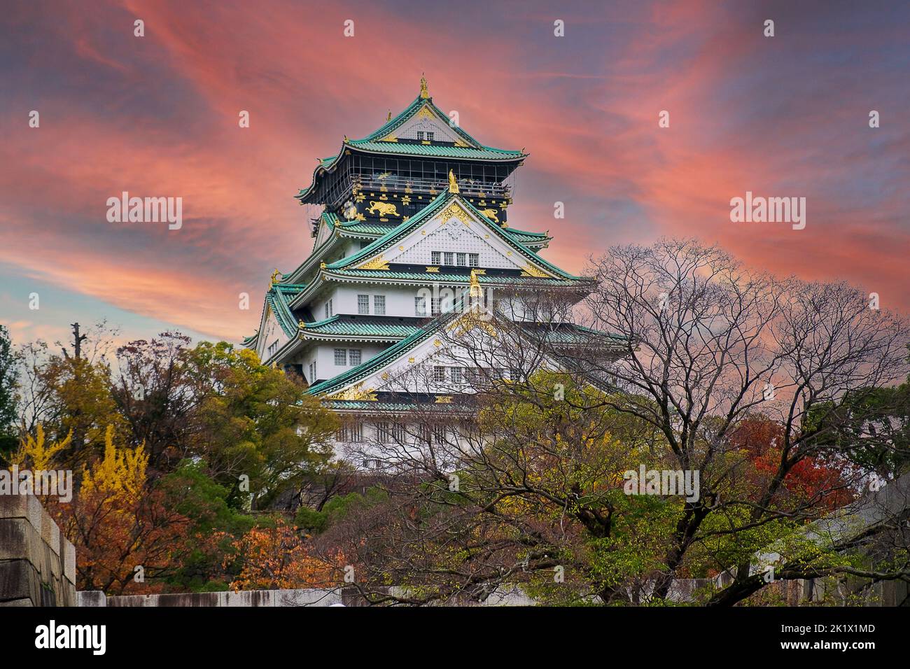 Osaka castle in Autumn foliage season, is a famous Japanese castle ...