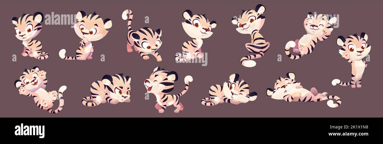 Adorable tiger cub cartoon animation set. Vector illustration of funny ...