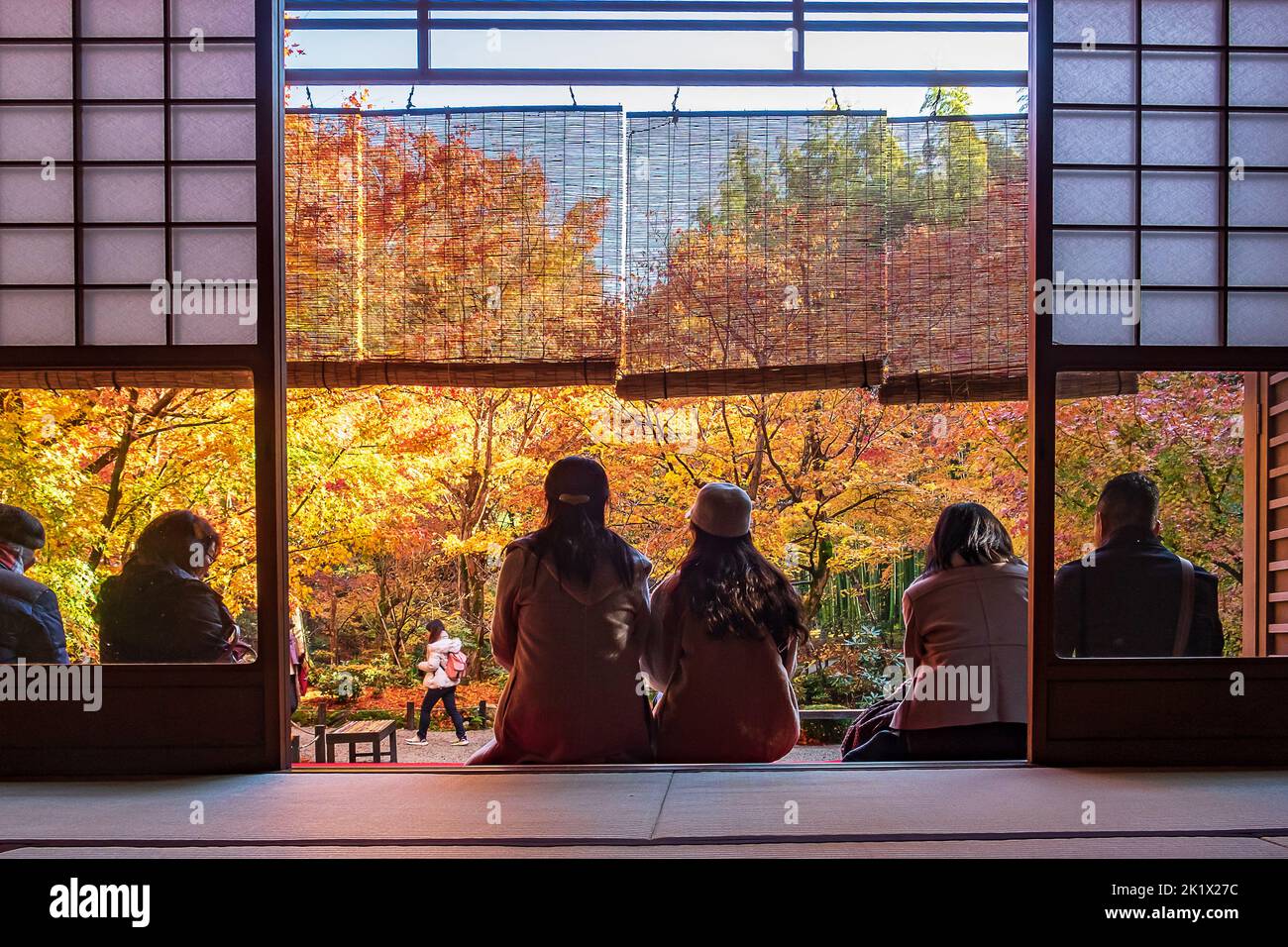 tourists viewing beautiful Maple leaf in Japanese Garden at Enkoji ...