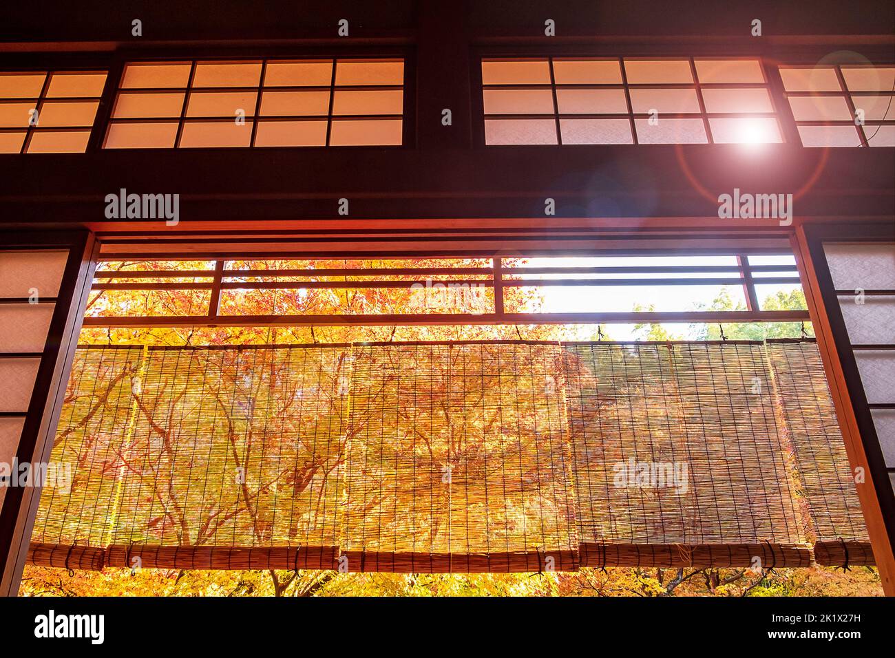 frame between wooden window and beautiful Maple tree in Japanese Garden ...