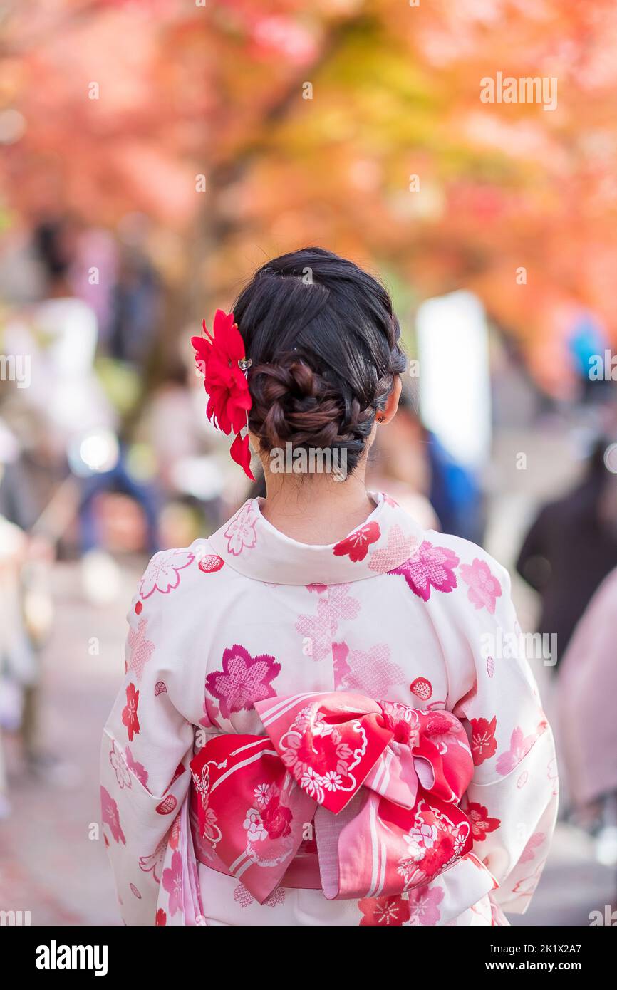 Traditional Japanese Kimono Back View