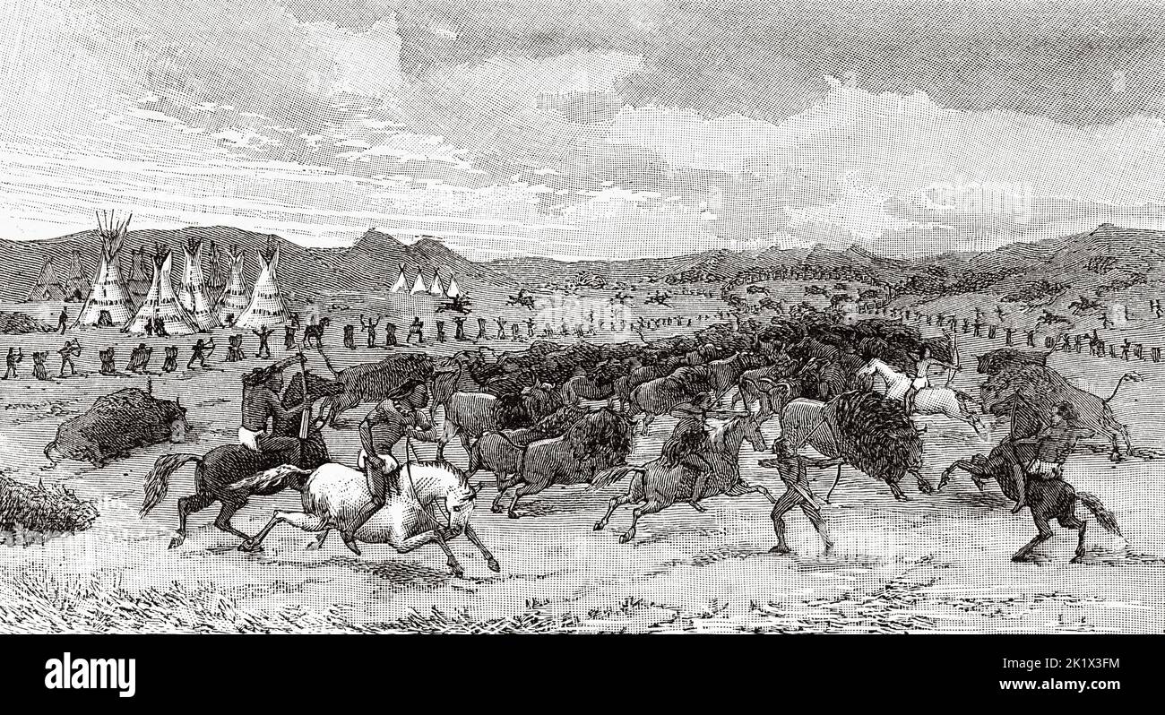Bison massacre hi-res stock photography and images - Alamy