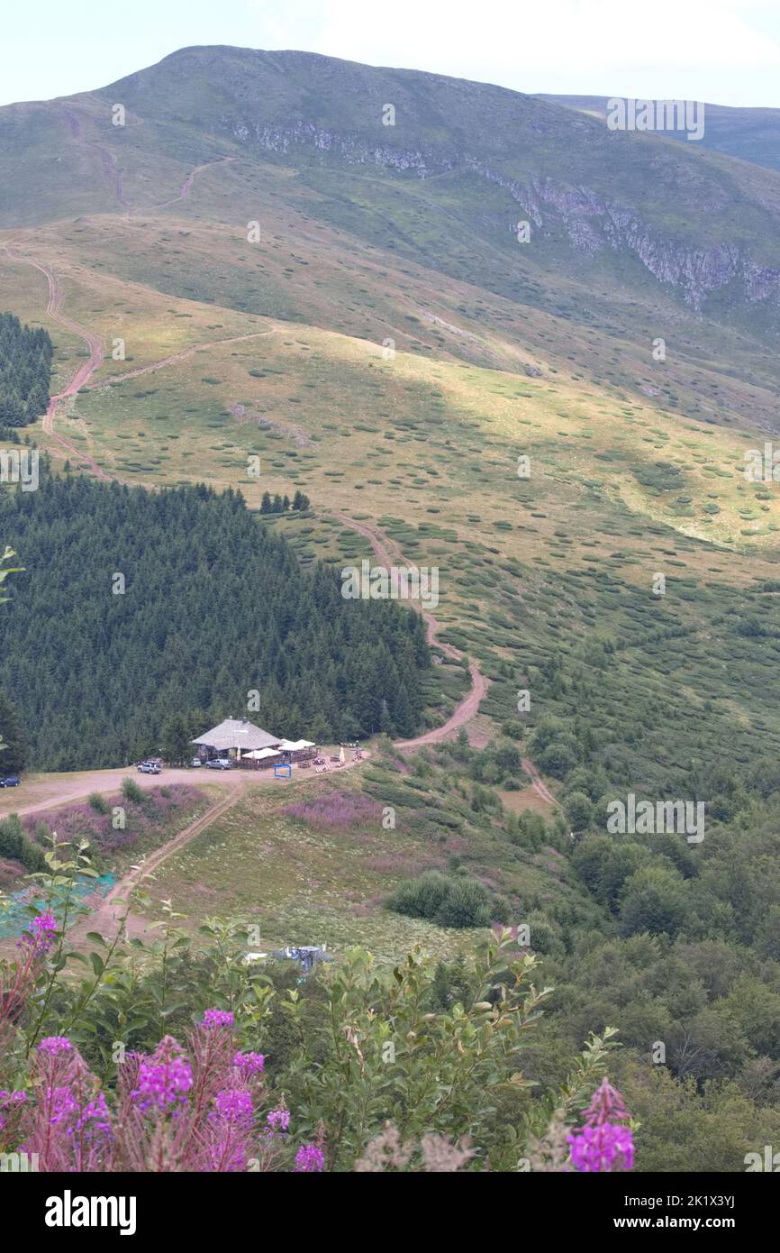 An aerial view of greenery mountains surrounded by growing dense trees ...