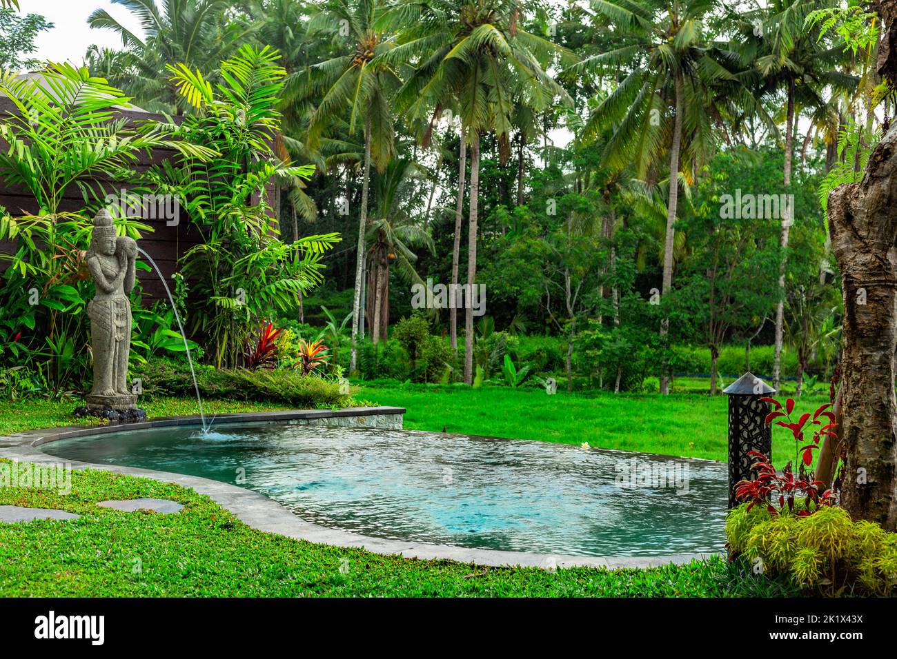 hidden forest pool - Bali Stock Photo - Alamy