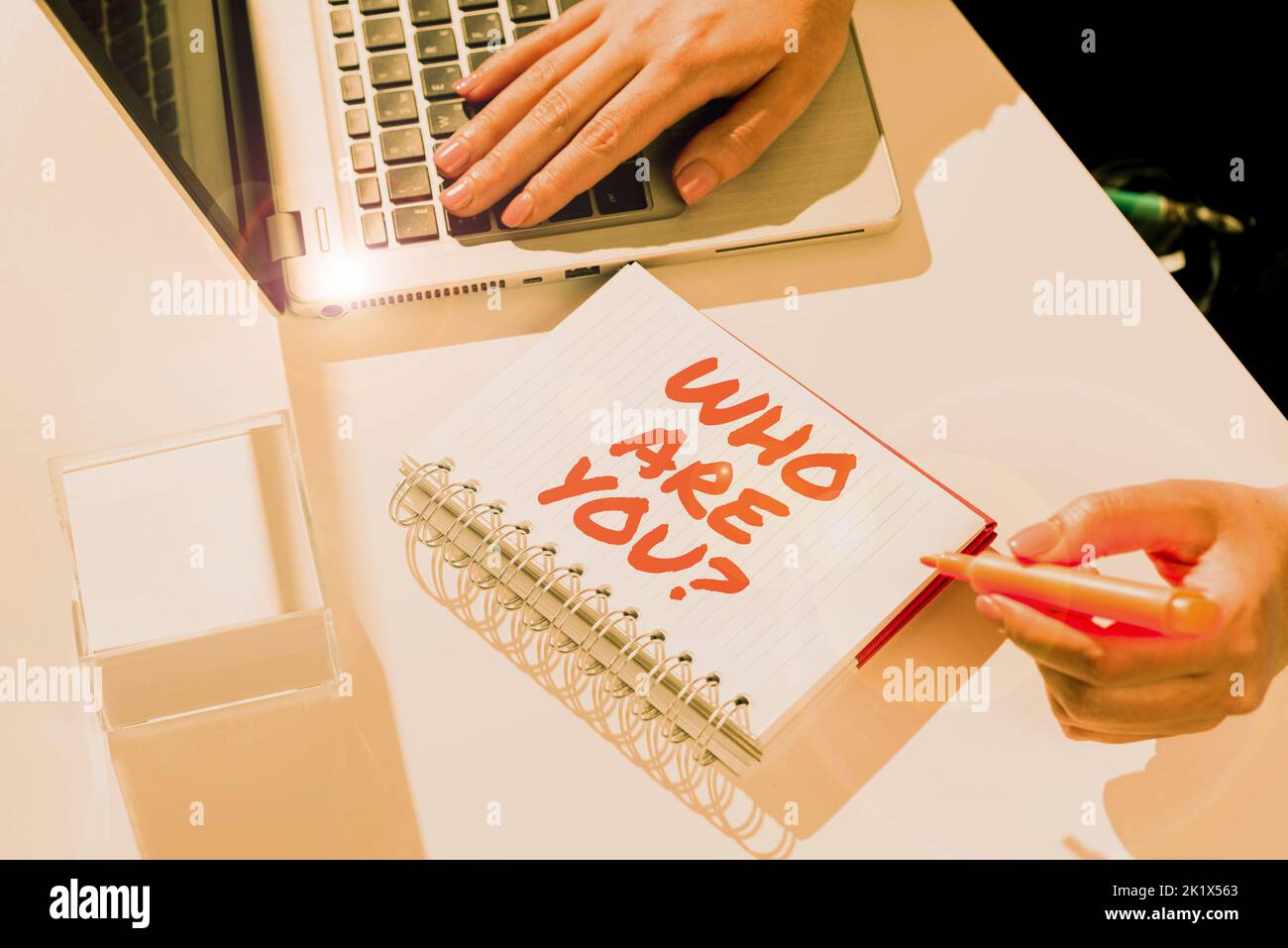 Conceptual display Who Are You. Business concept Introduce Identify ...