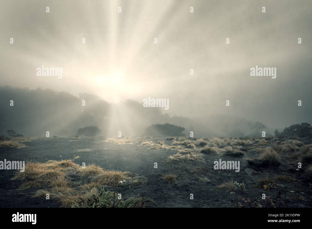 Field with the dramatic scene background Stock Photo - Alamy