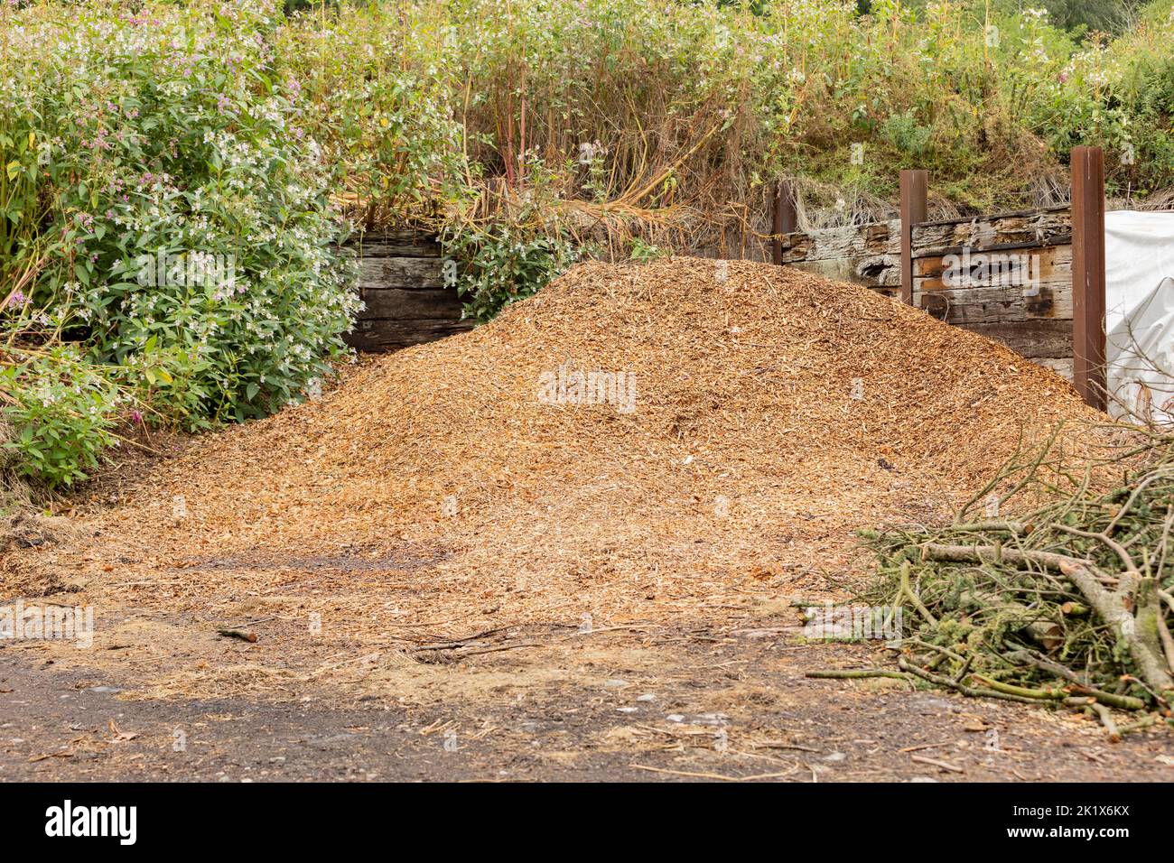 Large heaps of wood chips after pruning of trees and shrubs Stock Photo ...