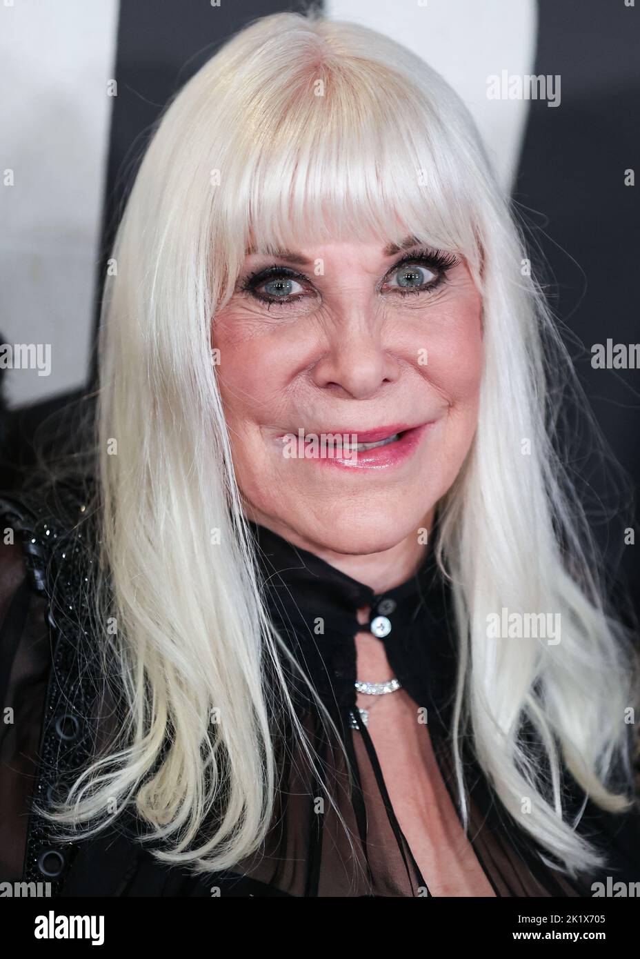 Wendy James's Instagram, Twitter & Facebook on IDCrawl