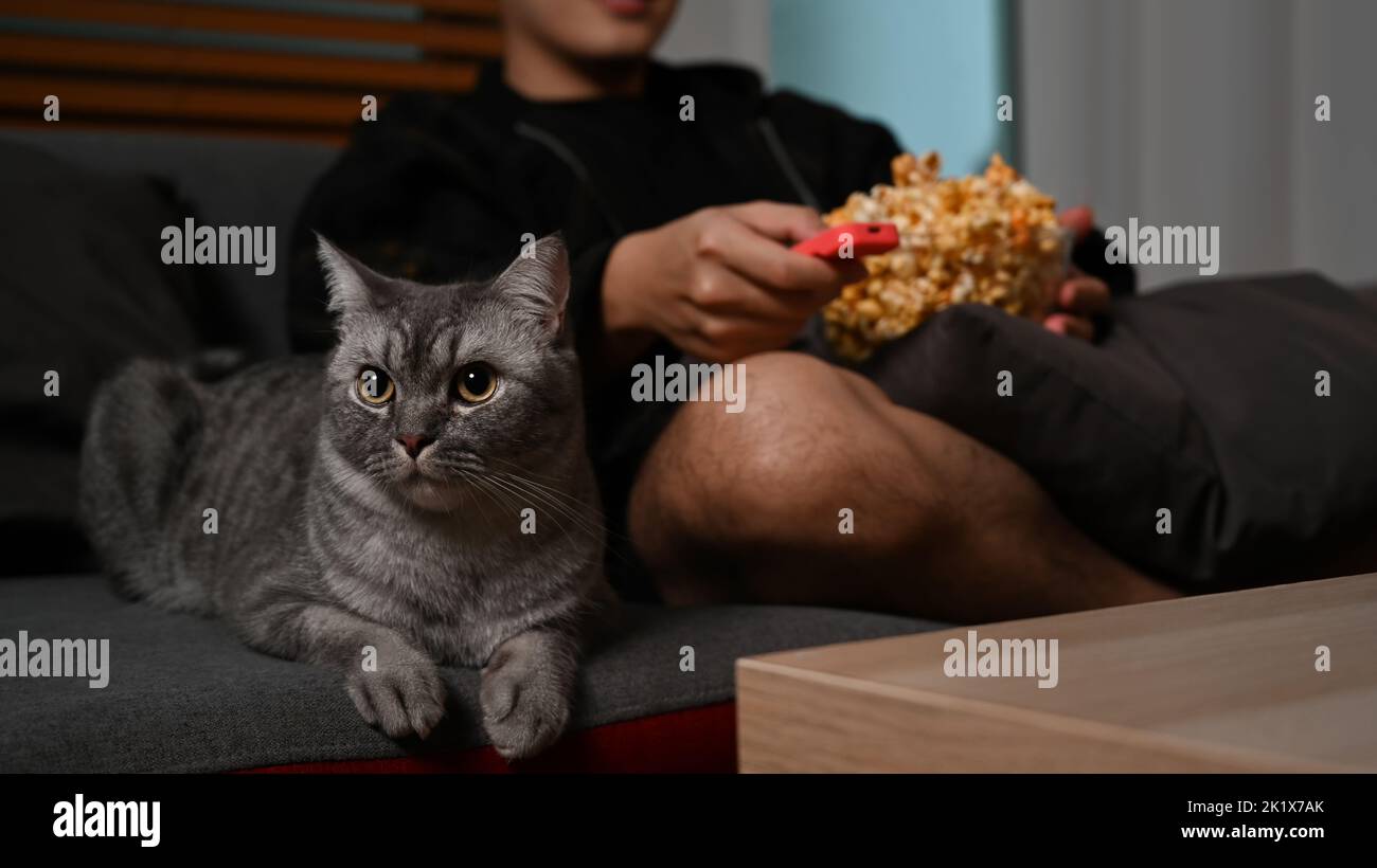 Happy man with remote control eating popcorn and watching movie in ...