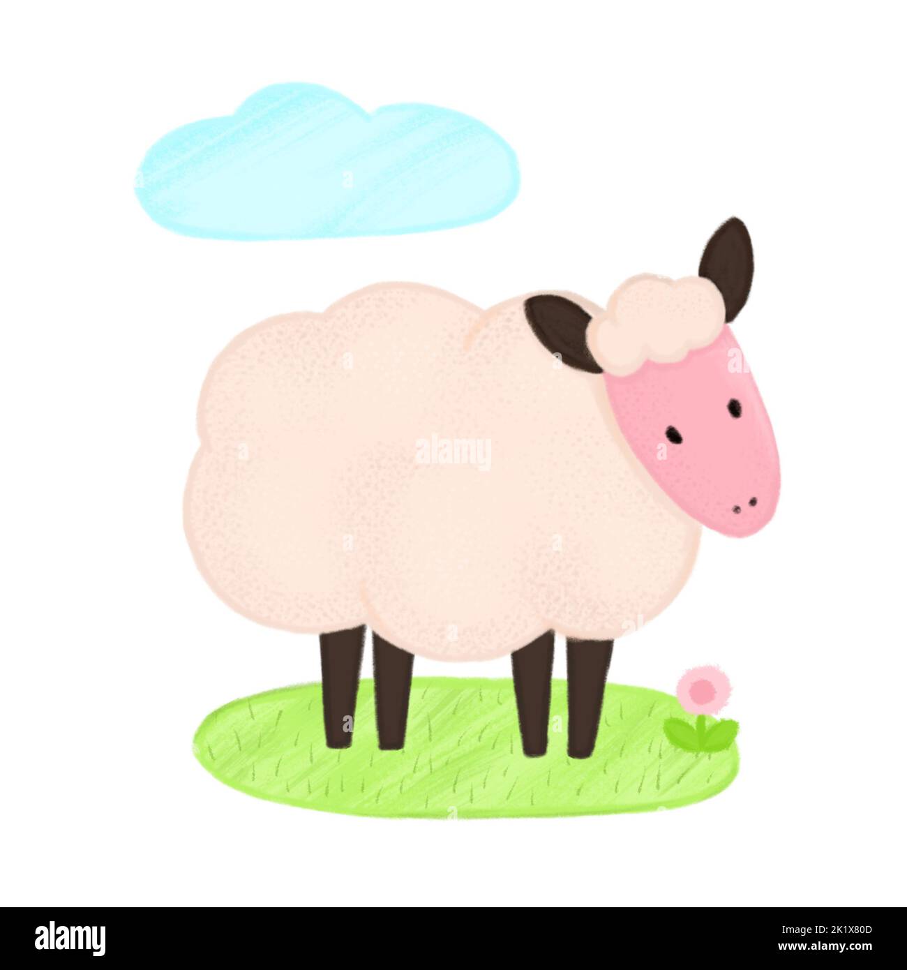 Cute cartoon sheep hand drawn style lamb Stock Photo - Alamy