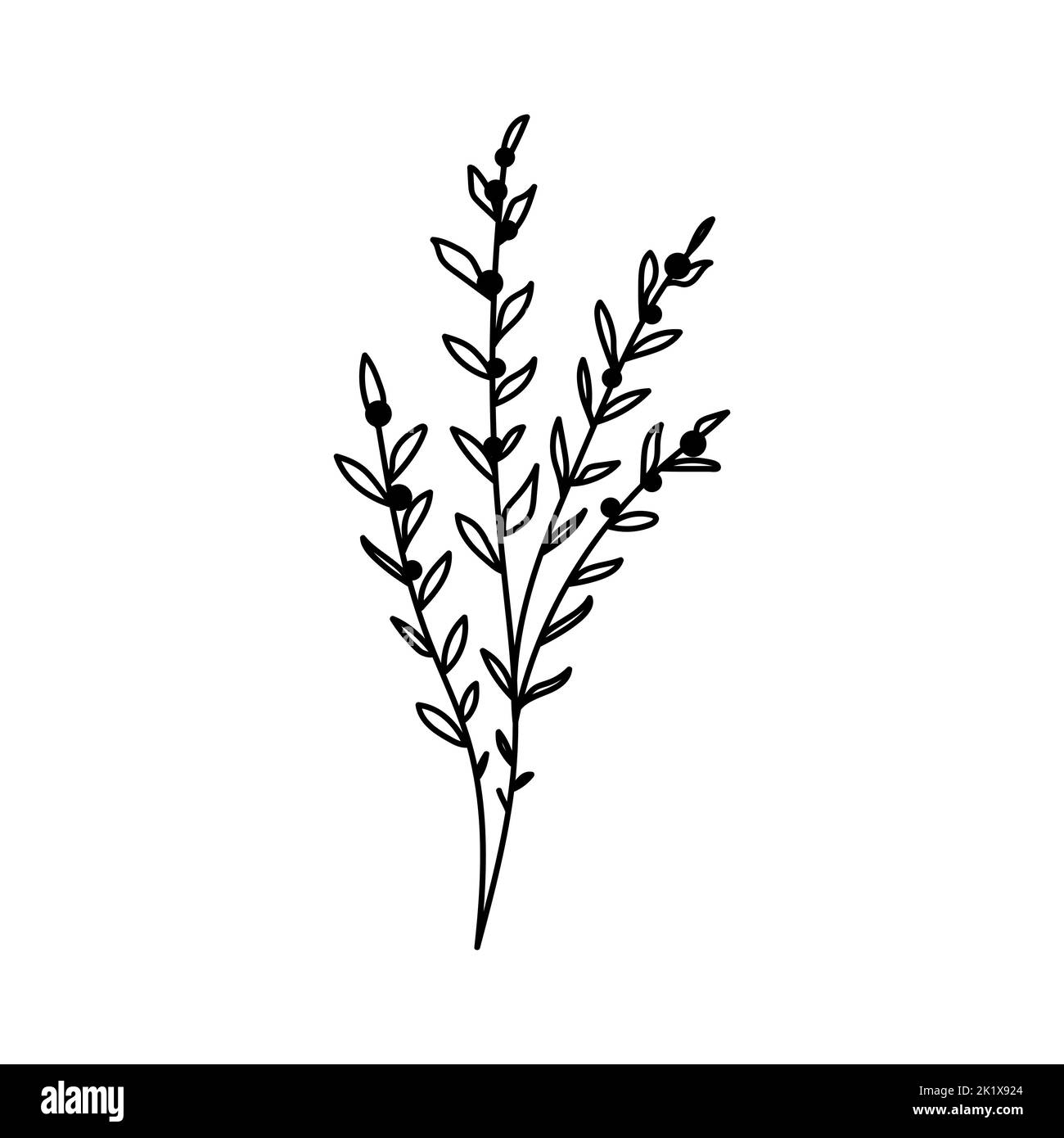 Illustration Of A Flower Silhouette Of A Twig With Flowers And Leaves Vector Illustration