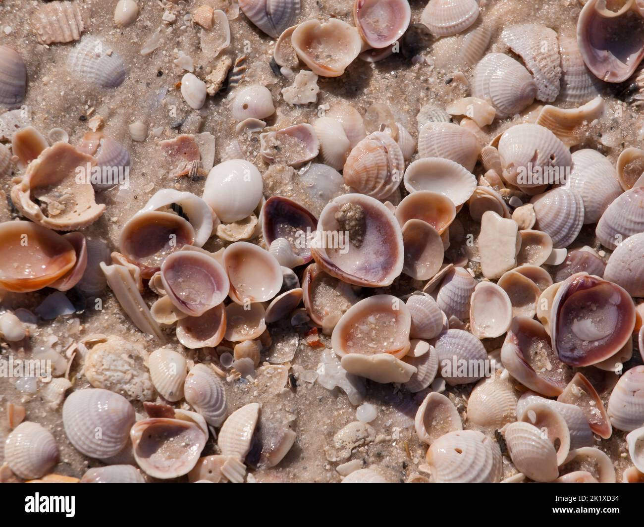 White shooting particles hi-res stock photography and images - Alamy