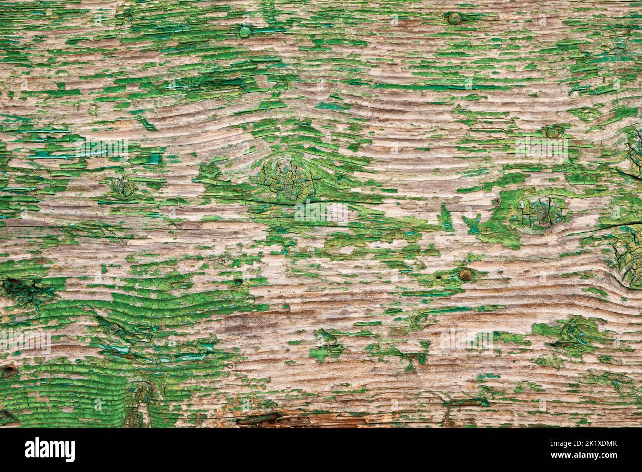 Old wooden board with peeling paint. Texture background of green flaky ...