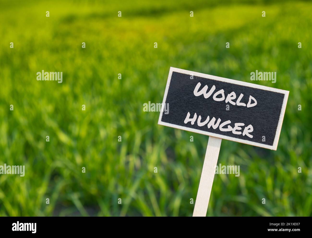 Wooden information label sign with text WORLD HUNGER against defocused ...