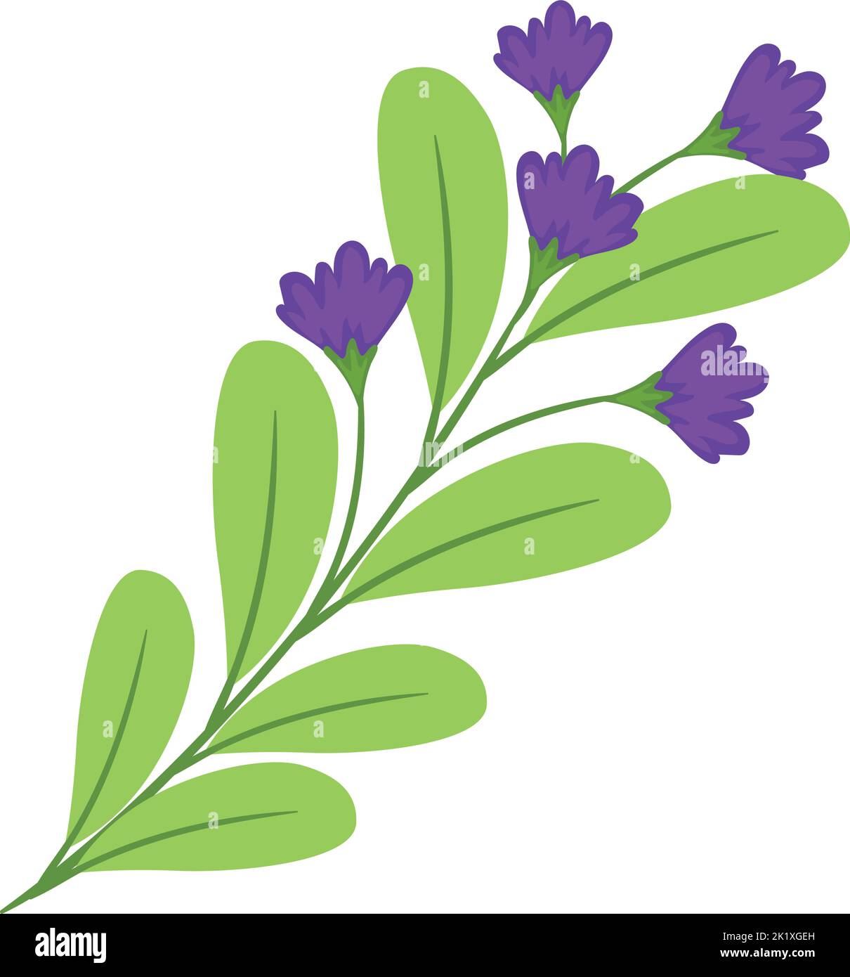 branch with purple flowers Stock Vector Image & Art - Alamy