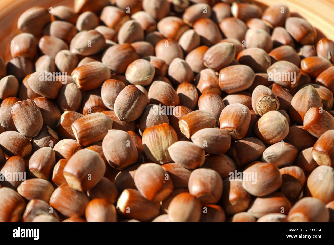 Hazelnut in shell hi-res stock photography and images - Alamy