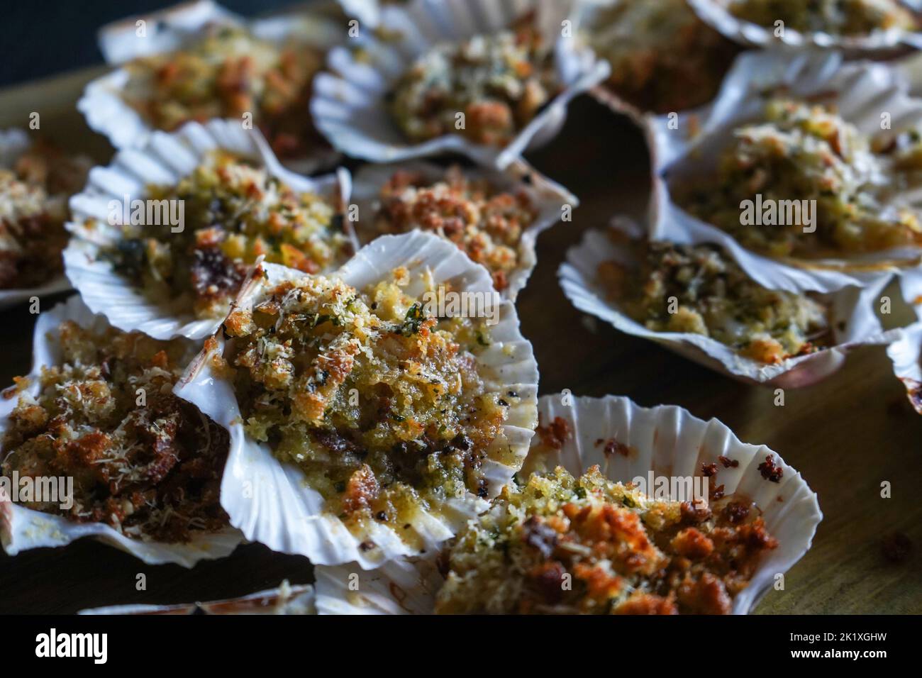 Pecten jacobaeus hi-res stock photography and images - Alamy