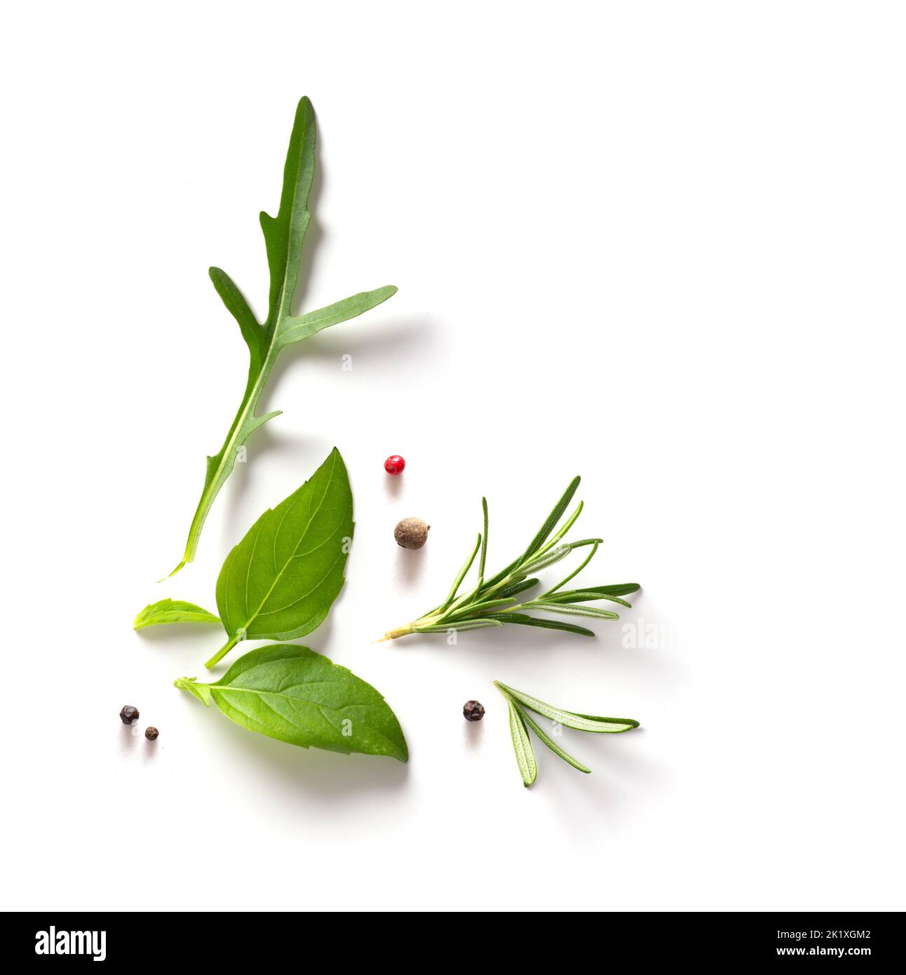 Spices and herbs on white background. Variety of spices and ...