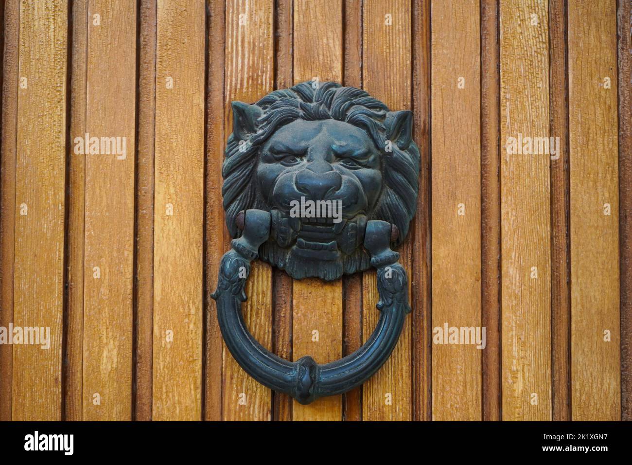 lion head knocker on the door Stock Photo - Alamy
