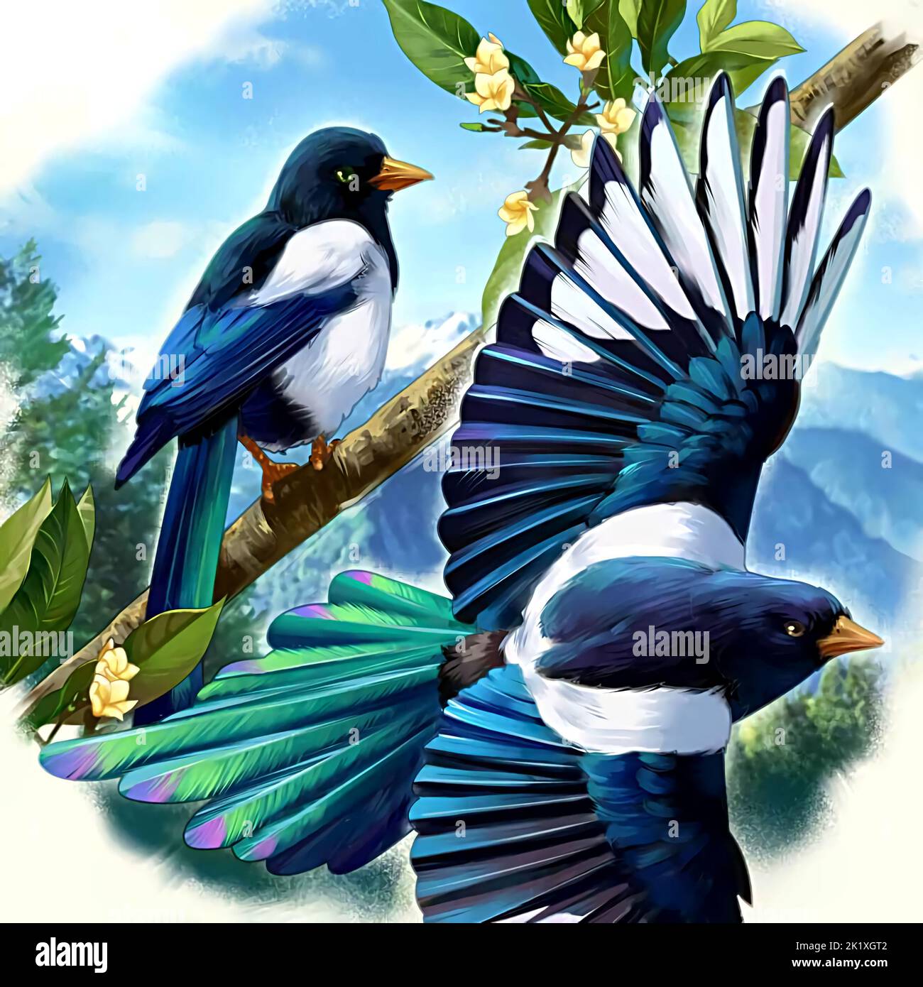 picture of two kucica birds with magnolia coco Stock Photo - Alamy