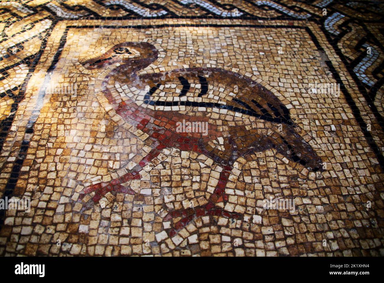 Palestine: Gaza, Palestine. 19 September 2022. The Byzantine mosaic ...