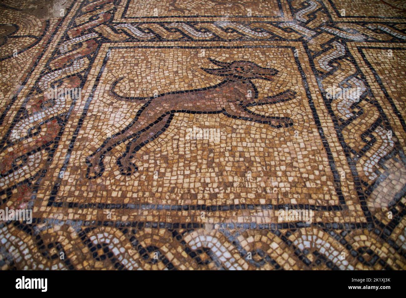 Palestine: Gaza, Palestine. 19 September 2022. The Byzantine mosaic ...