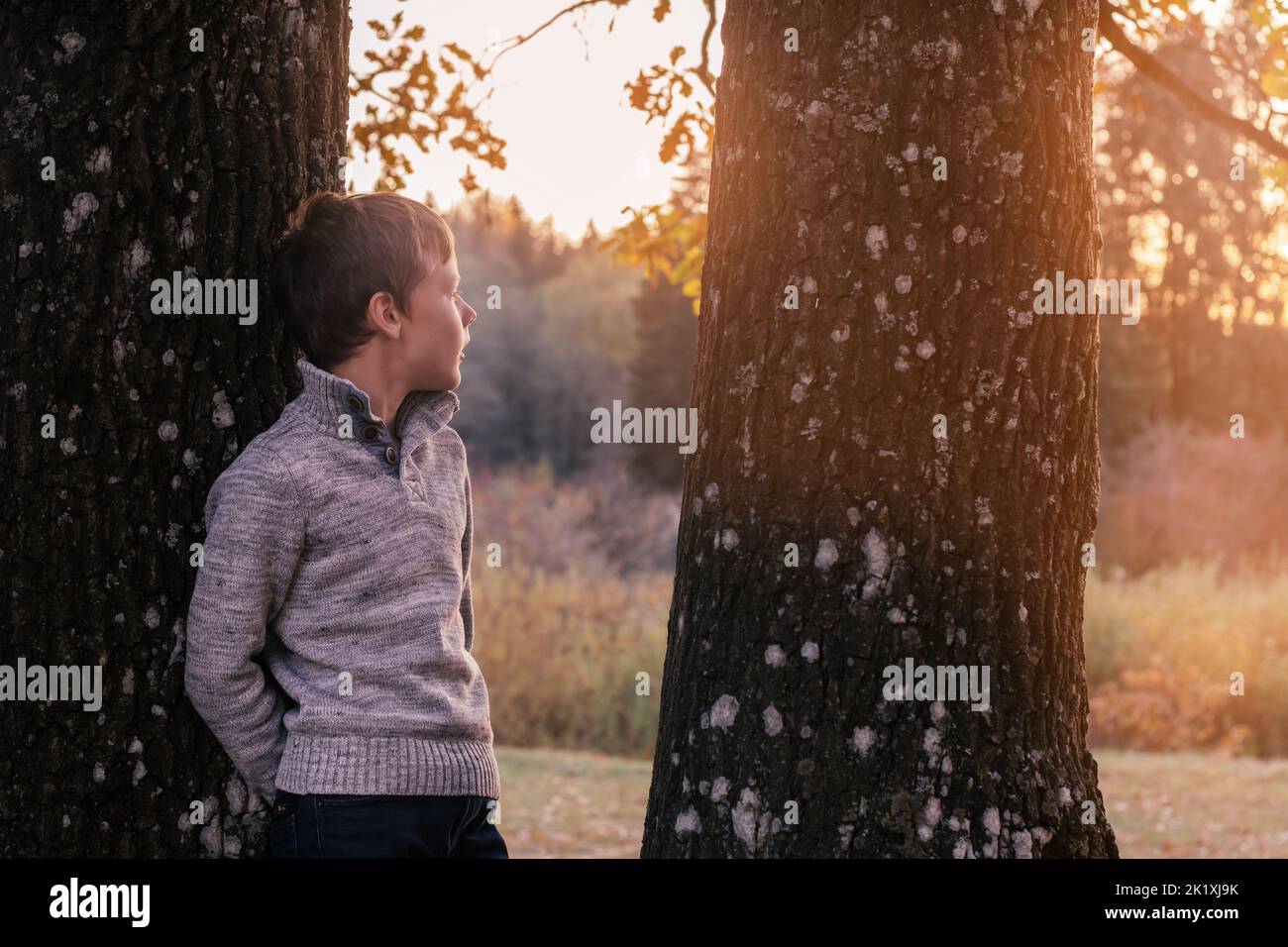 Boy 9-10 years old stands between two thick oak trunks outdoor in ...