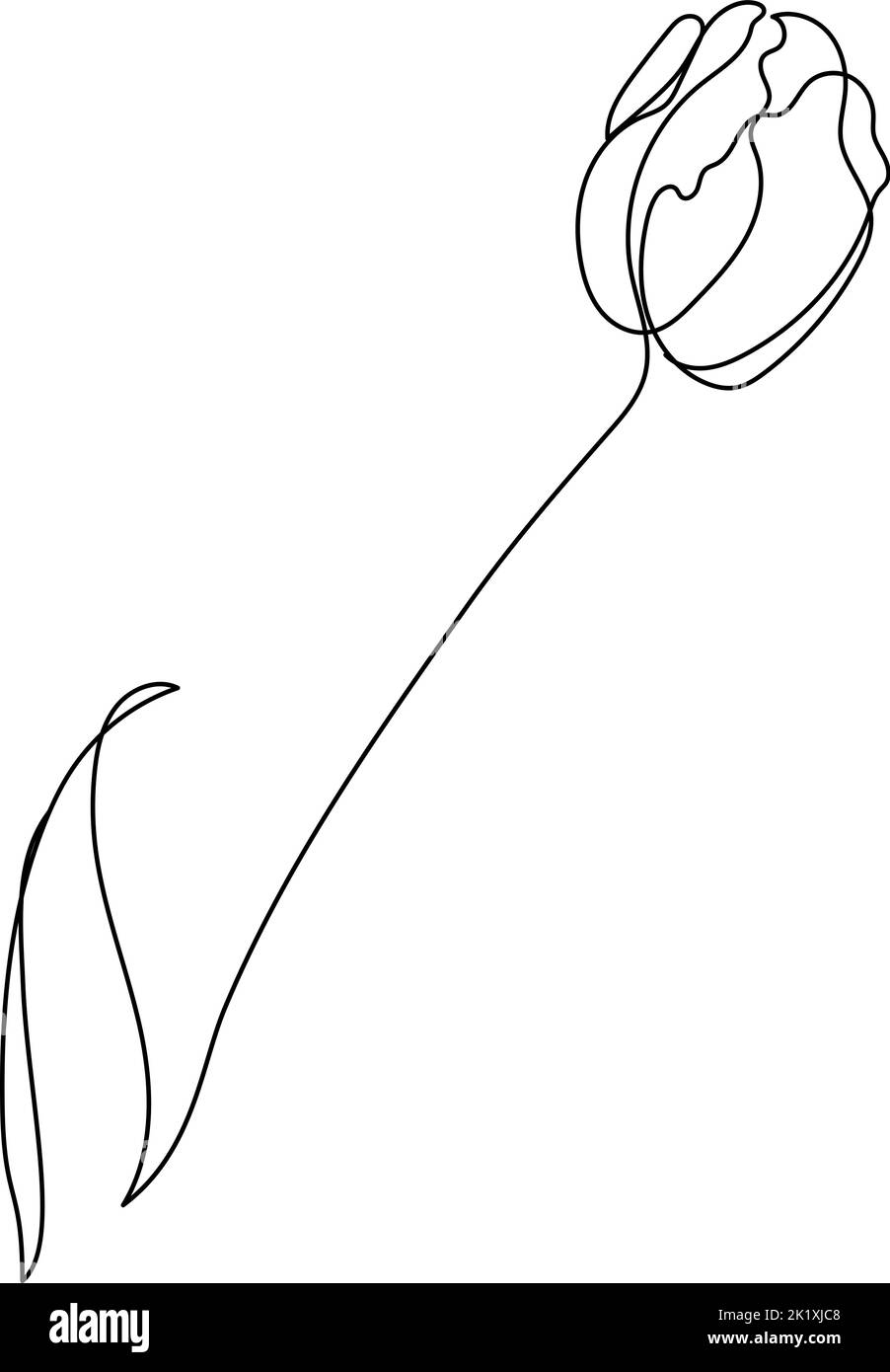 Tulip line art hi-res stock photography and images - Alamy