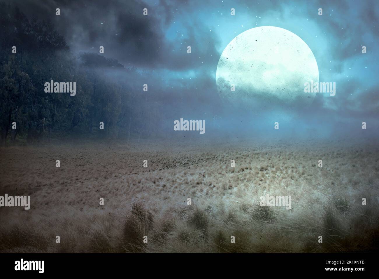 Field with the night scene background Stock Photo - Alamy