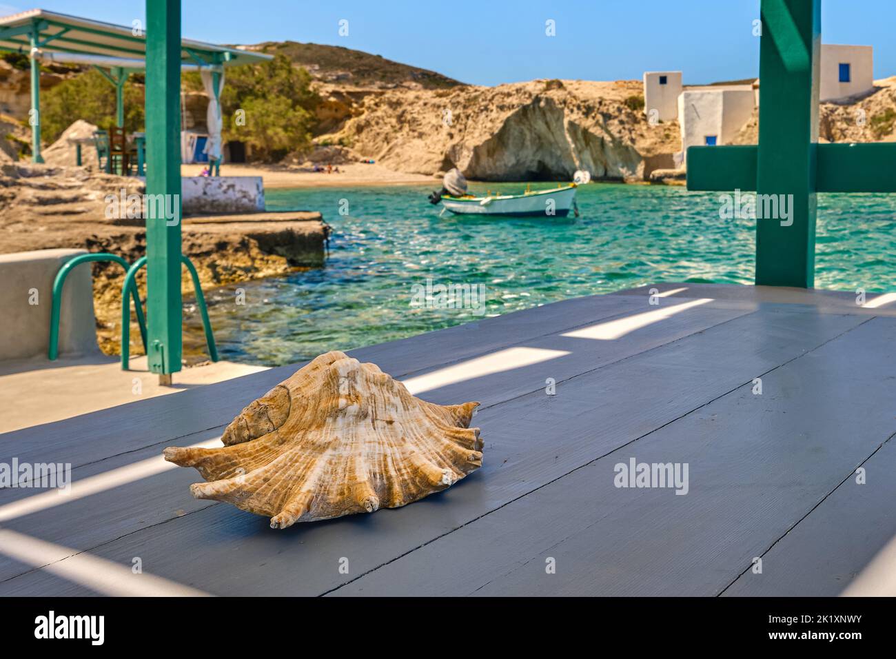 Summer vacations villa, beautiful conch sea shell on table, terrace by ...