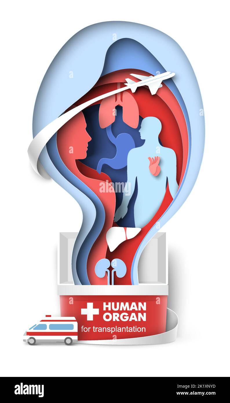 Life saving lung transplant hi-res stock photography and images - Alamy