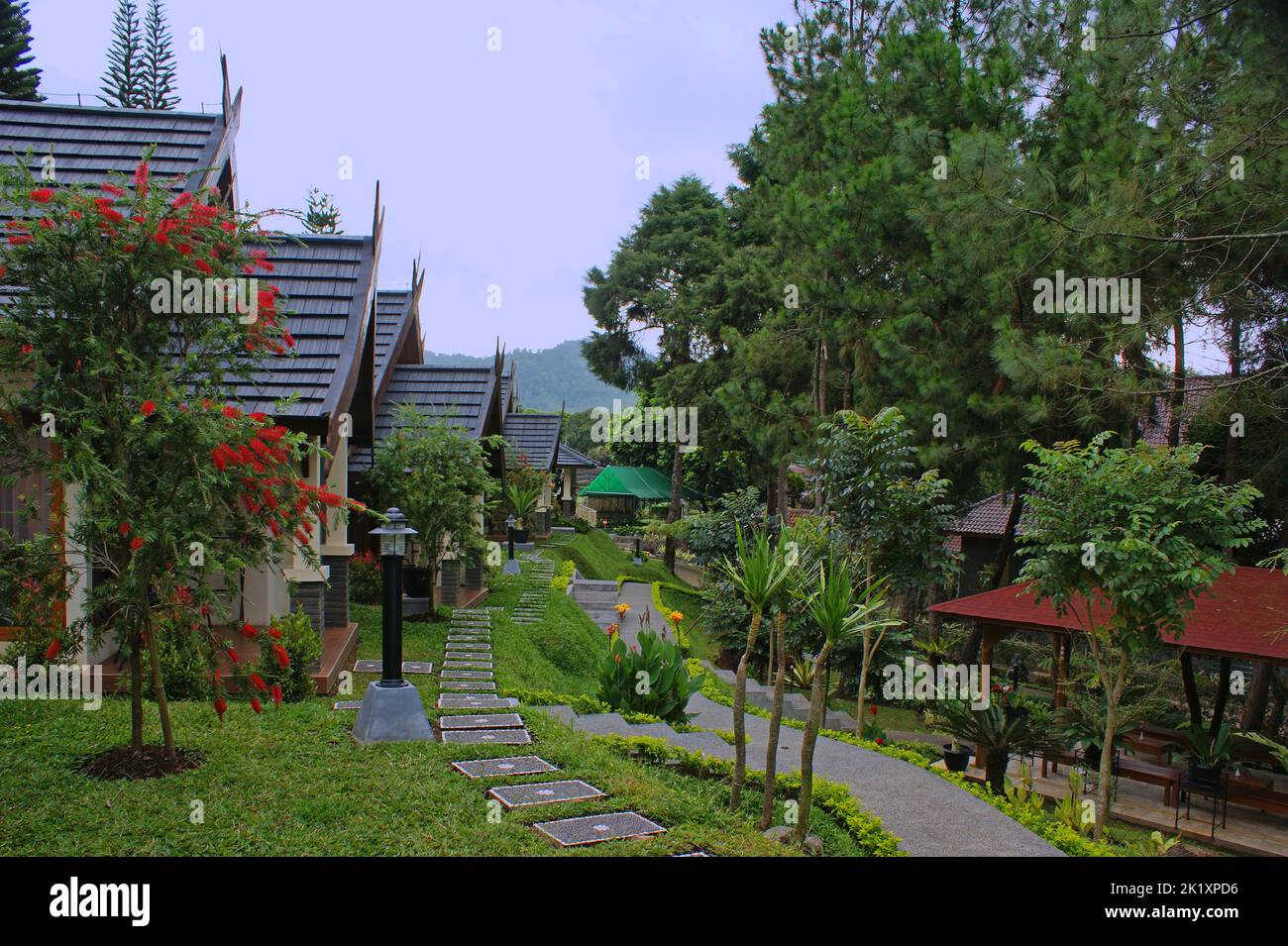 Sindang rered hi-res stock photography and images - Alamy