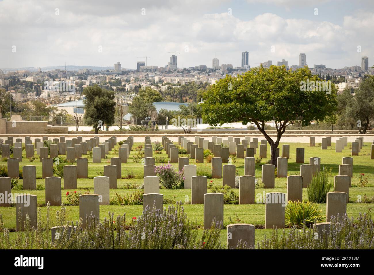 British war cemetery at mount scopus, Jerusalem, Israel Stock Photo - Alamy