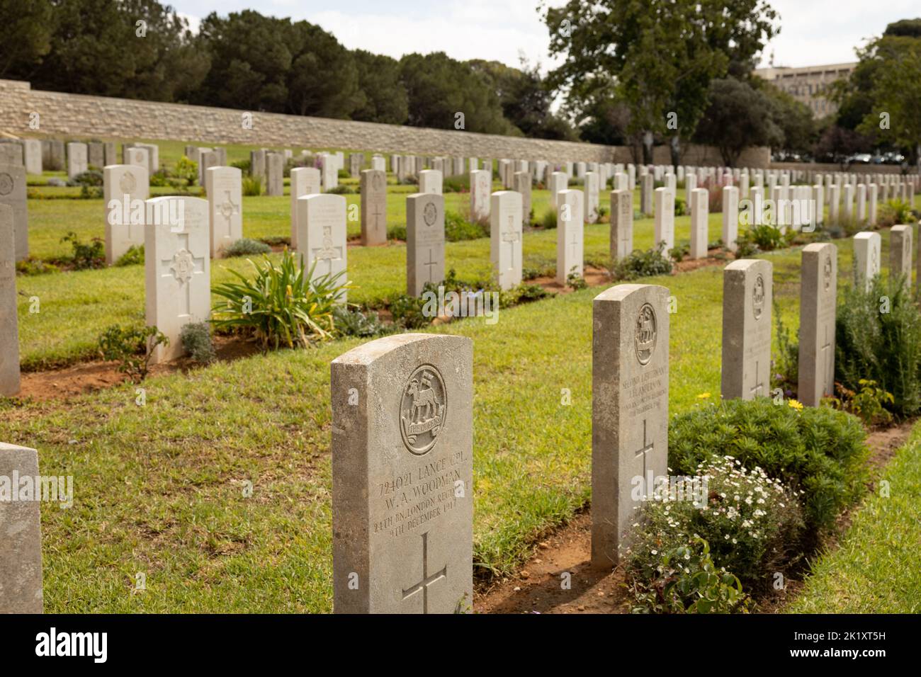 British war cemetery at mount scopus, Jerusalem, Israel Stock Photo - Alamy