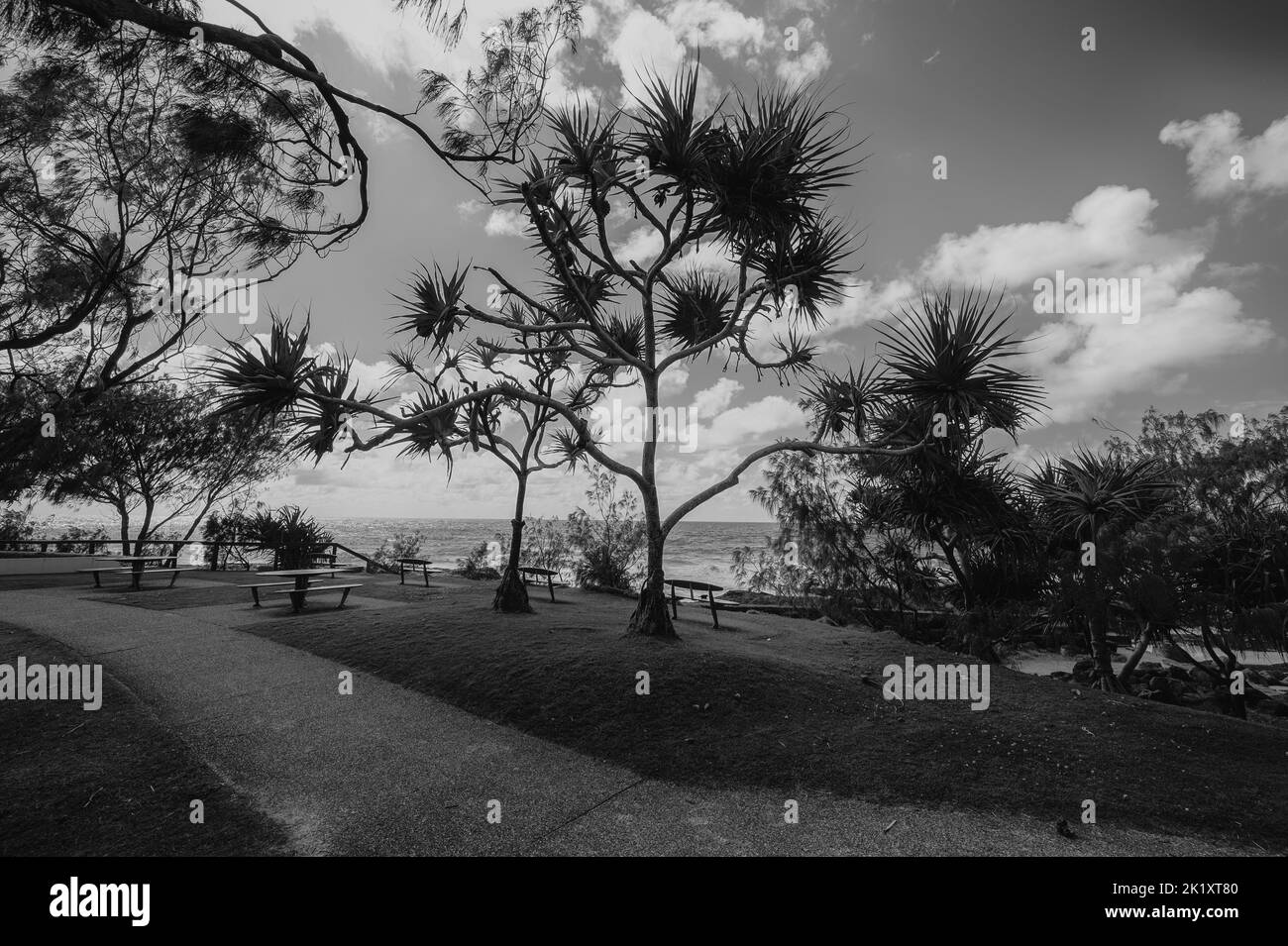 A grayscale of a park at the Snapper Rocks Stock Photo - Alamy