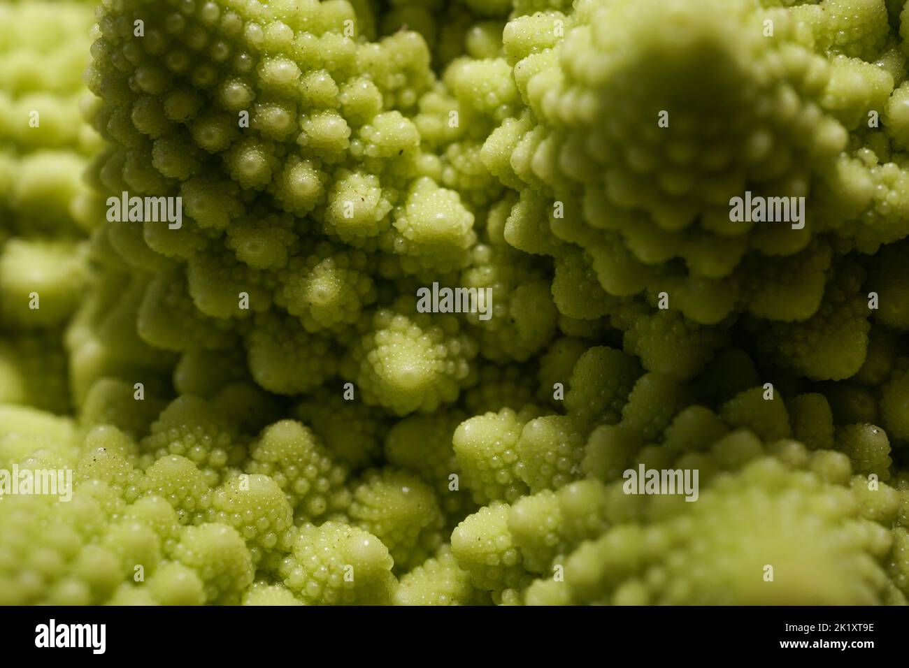 macro romanesco cauliflower texture Stock Photo - Alamy