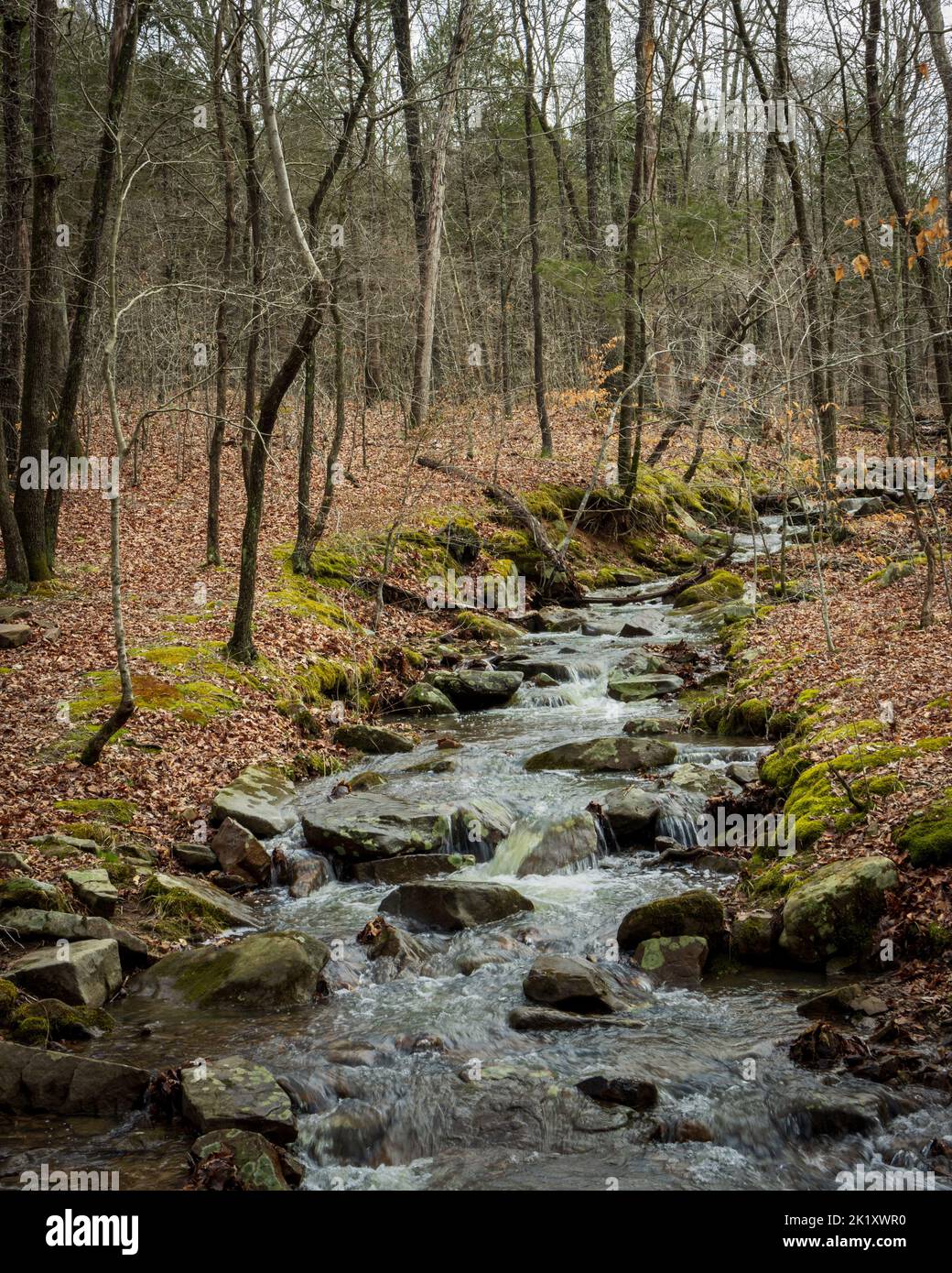 The beautiful Jackson Falls in the Shawnee National Forest, United ...
