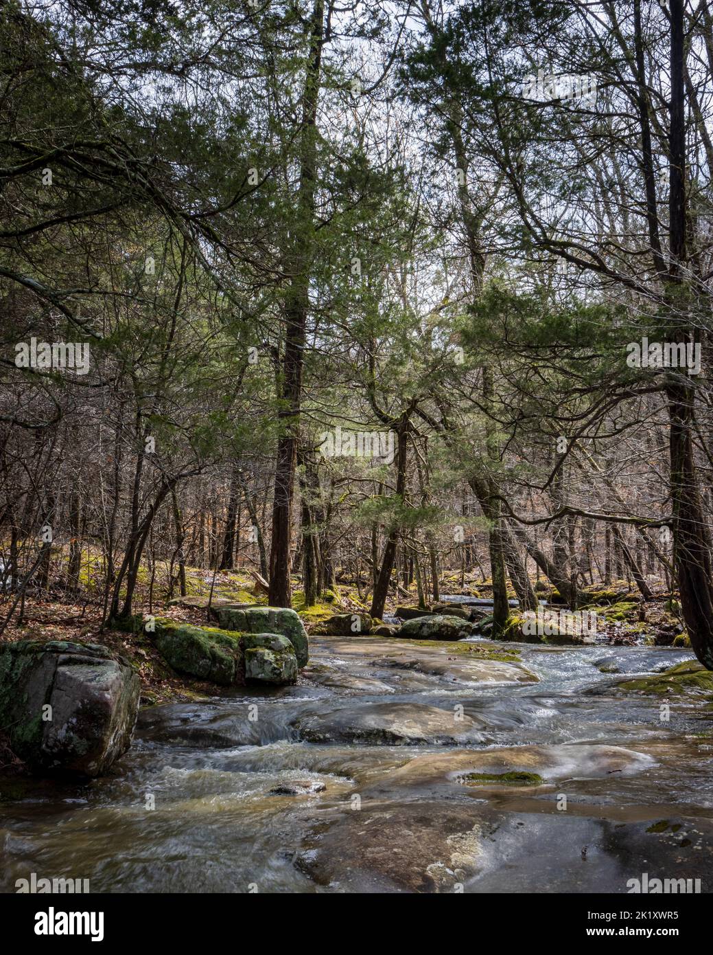The beautiful Jackson Falls in the Shawnee National Forest, United ...