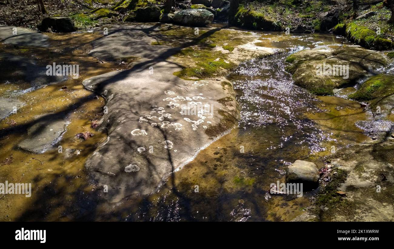 The beautiful stones of Jackson Falls in the Shawnee National Forest ...