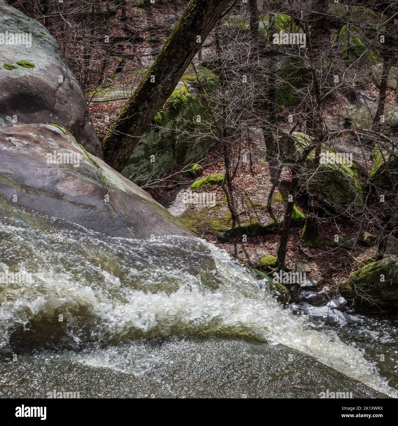 The beautiful Jackson Falls in the Shawnee National Forest, United ...