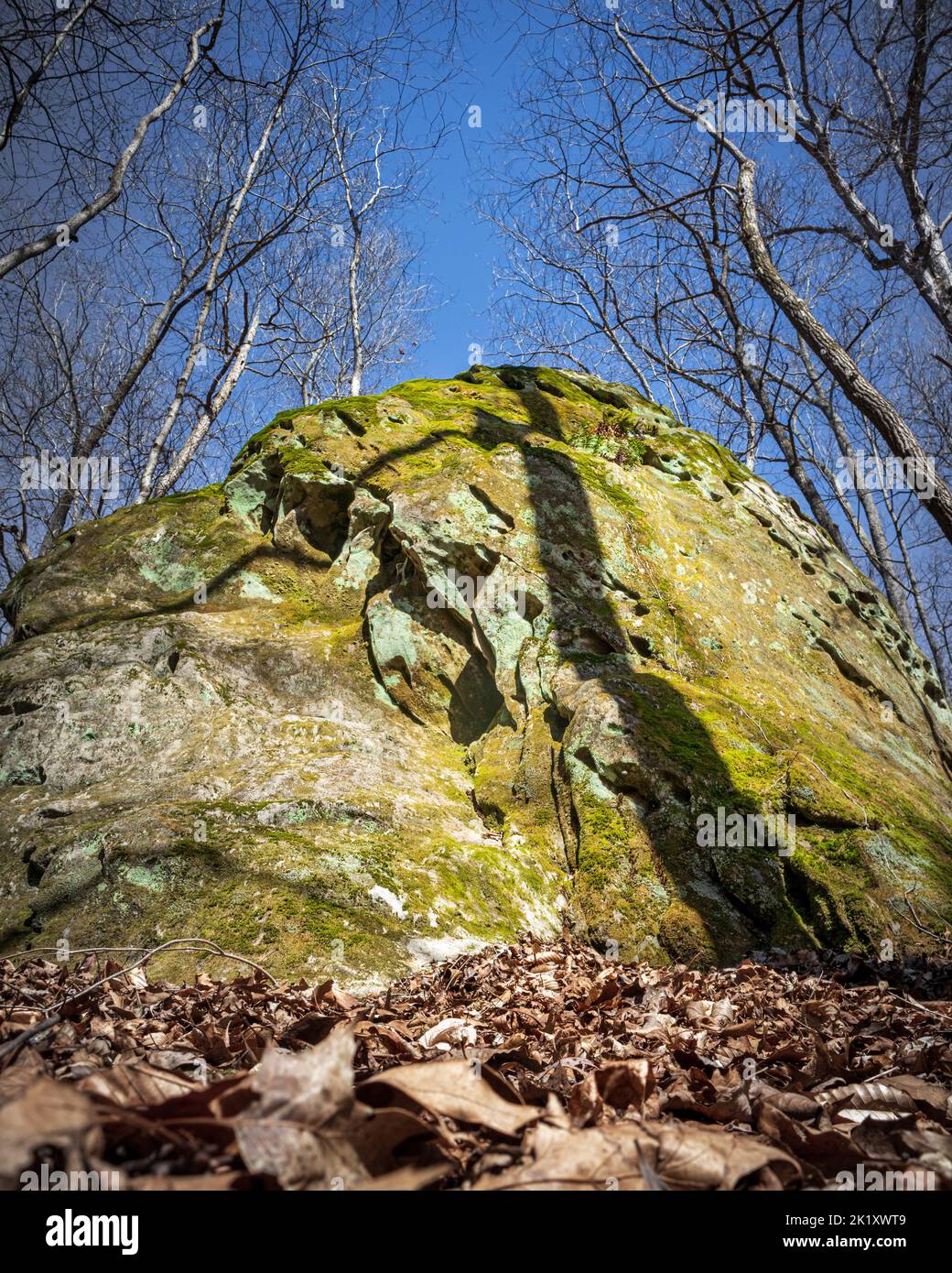 The mossy stone of Jackson Falls in the Shawnee National Forest, United ...