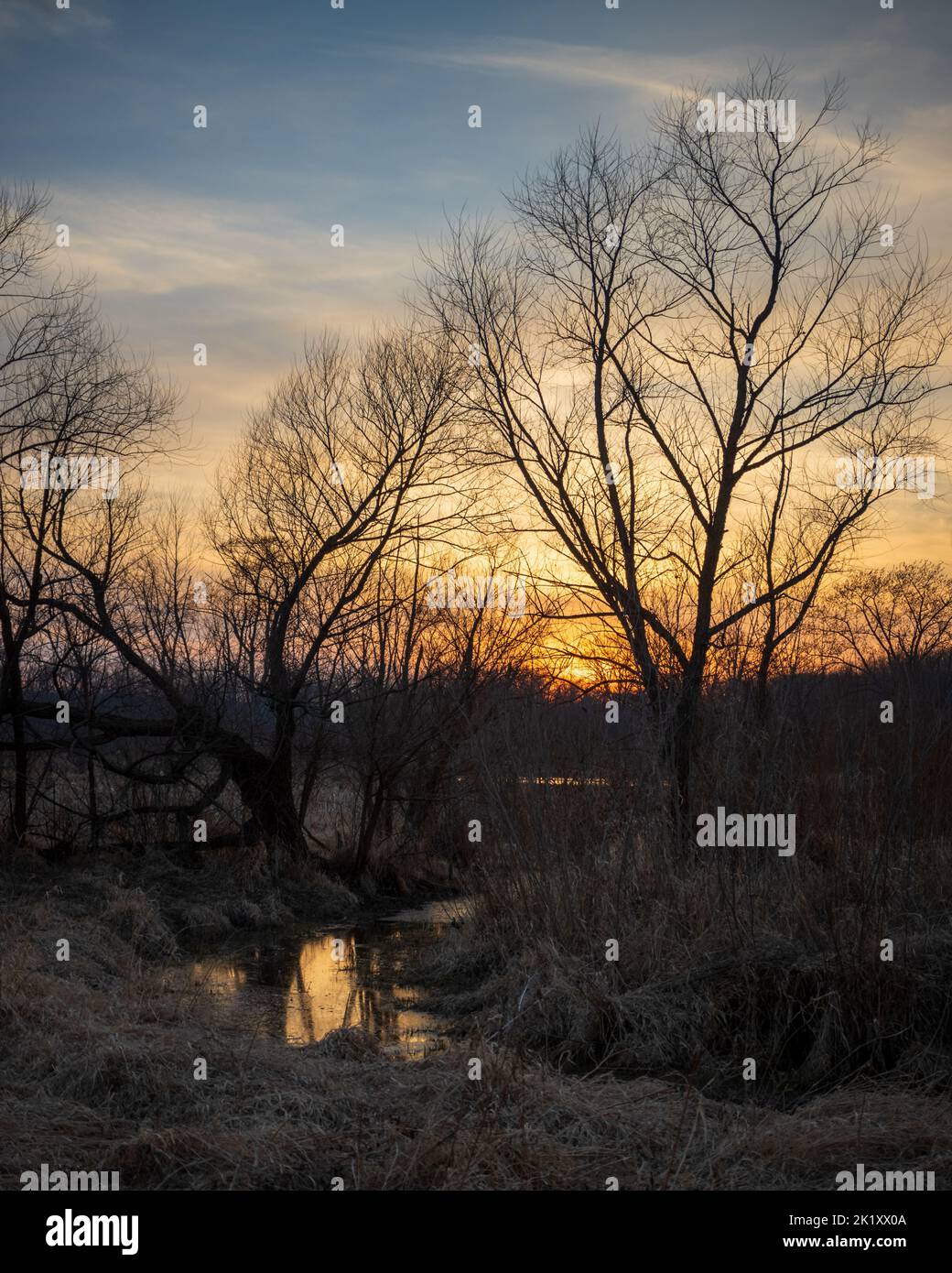 The Sportsman Park in Decatur, Illinois with deciduous trees and water ...