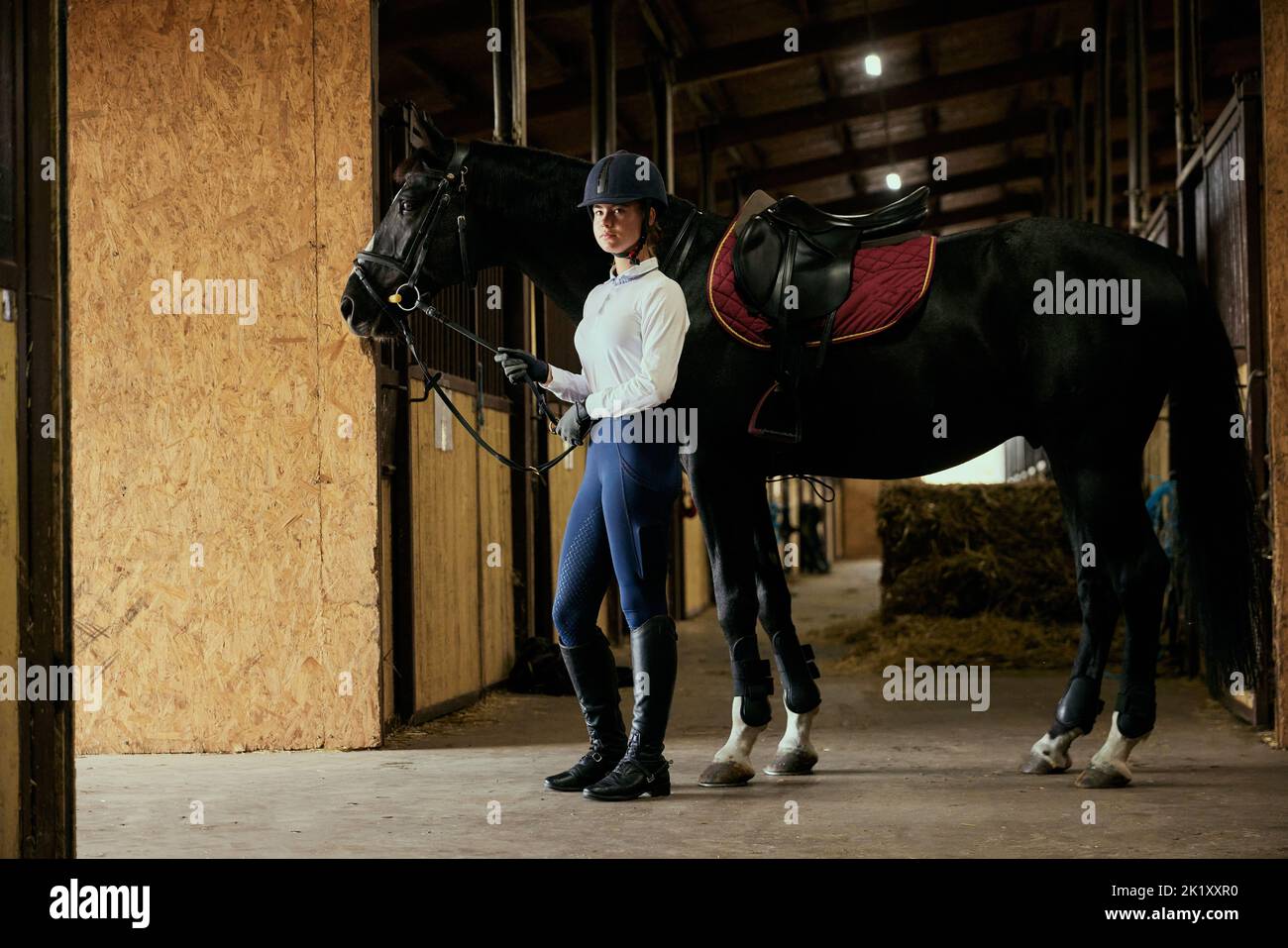 Live portrait of young girl, teen, beginner rider in sports uniform and ...