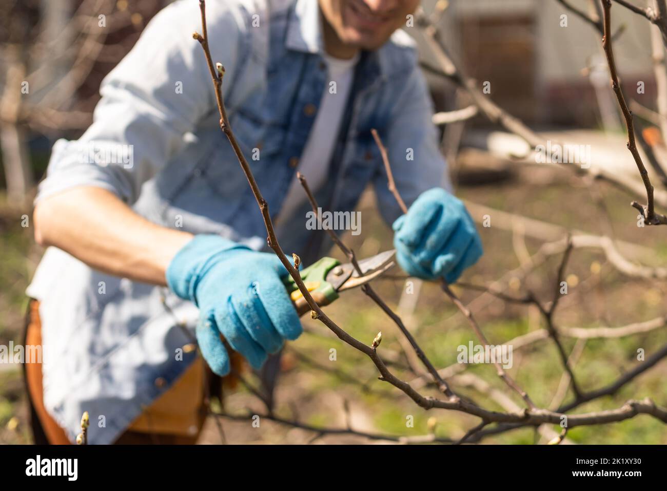 Prune pruning peach hi-res stock photography and images - Alamy