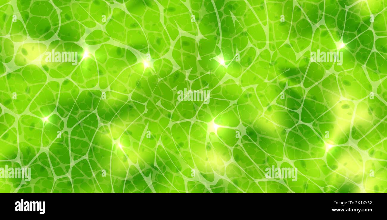 Plant cells with nuclears texture under a microscope or abstract green ...