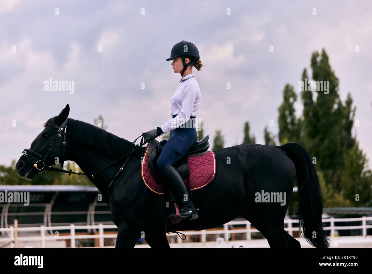 Equestrian sport. Portrait of teen girl, beginner female rider training ...
